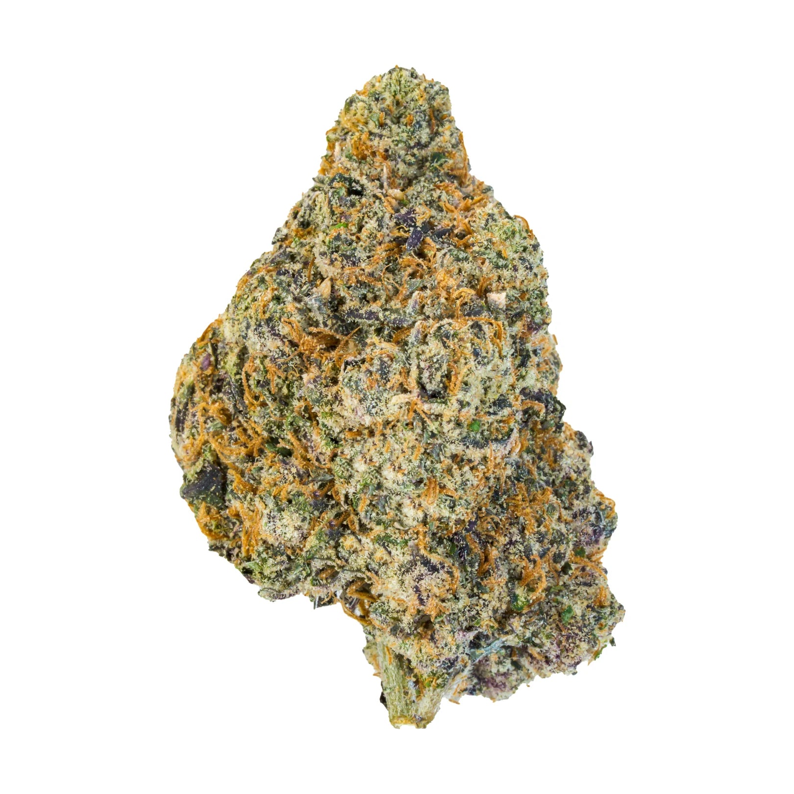 Gary Payton – Balanced Hybrid Cannabis Strain | CannaHive